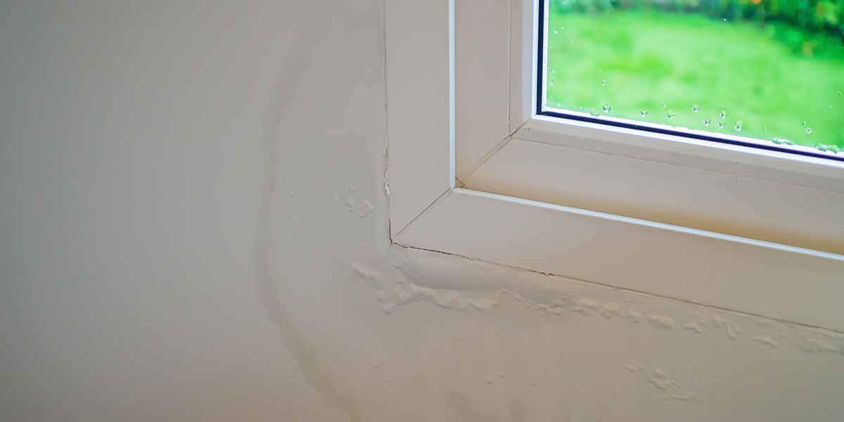 5 Penyebab Dinding Lembab, Bejamur, dan Tips Mengatasinya